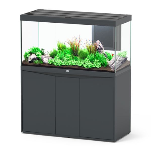 Aquatlantis aquaria – Aqua ferrytale